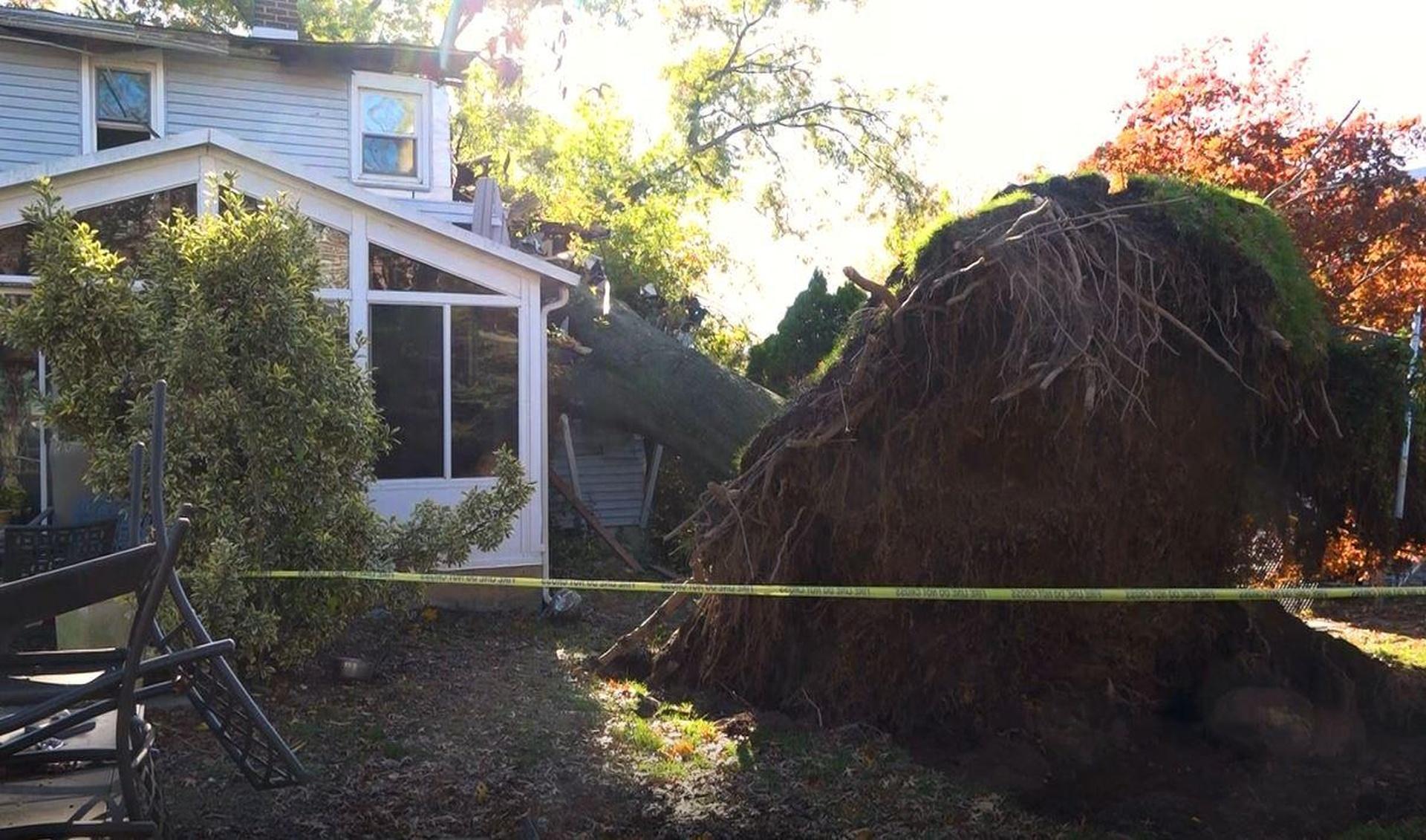 Windstorm Causes Widespread Damage Windstorm Causes Widespread Damage